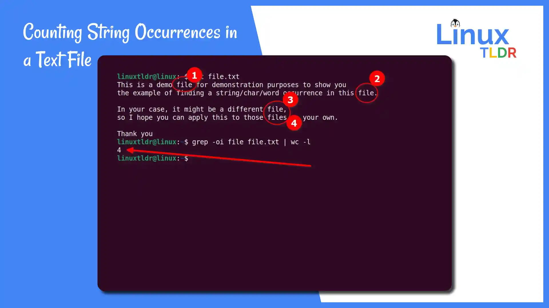 How To Count String Occurrences In A Text File