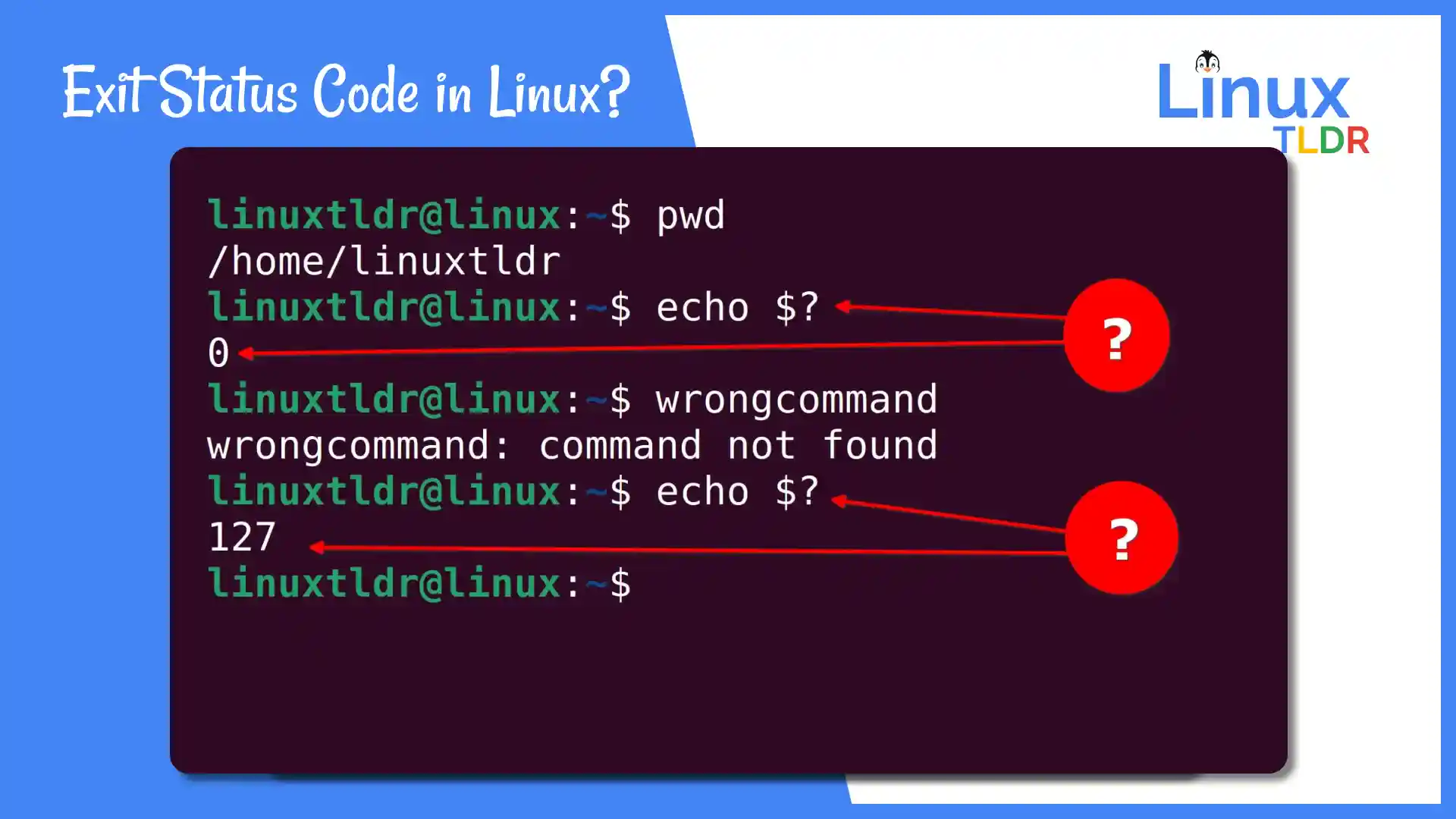 What Is Exit Status Code Of Last Command In Linux