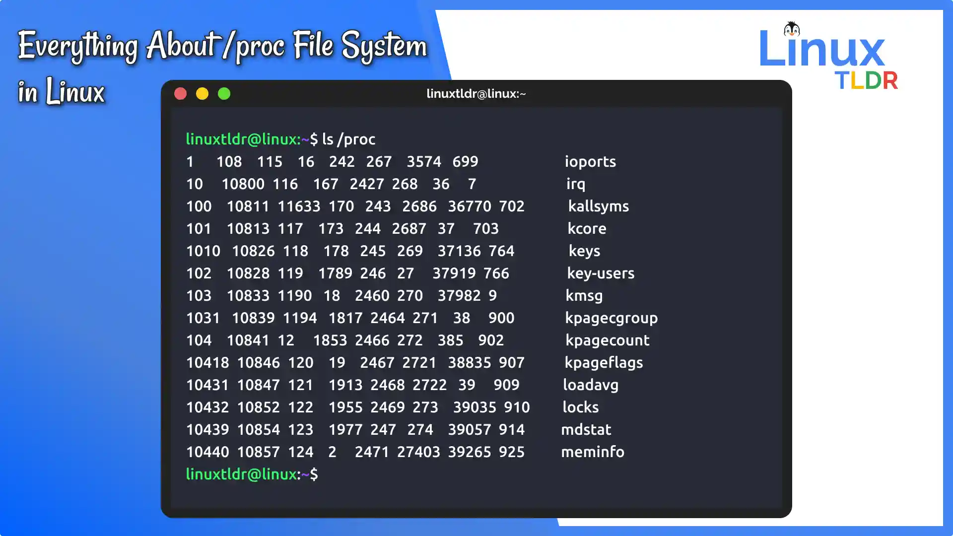Everything About proc File System On Linux