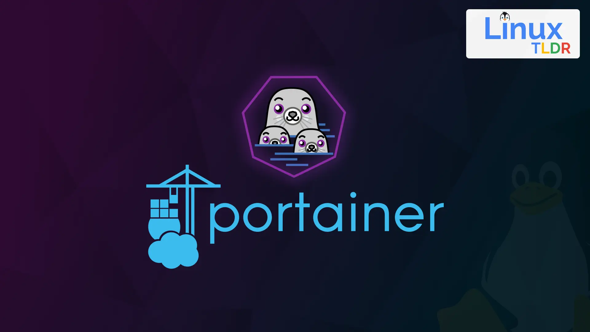 How To Deploy Portainer With Podman On Linux 3395